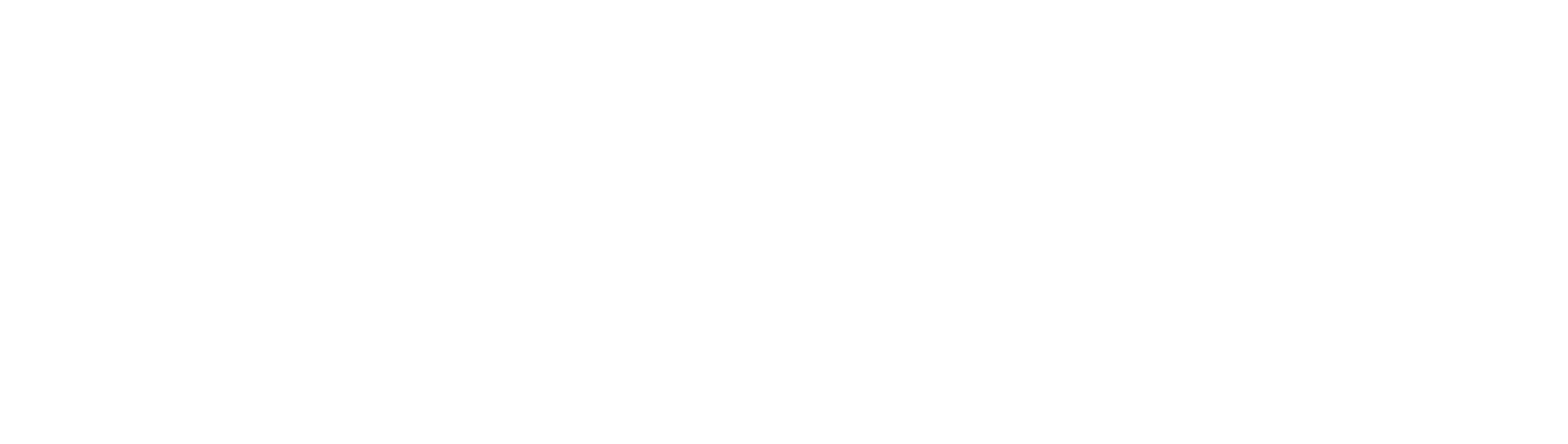 Nestronix